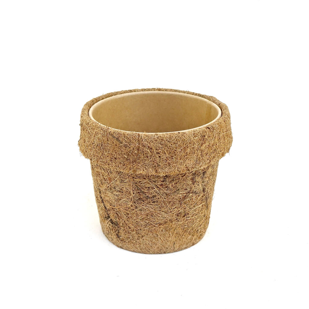 Collection - Kokodama